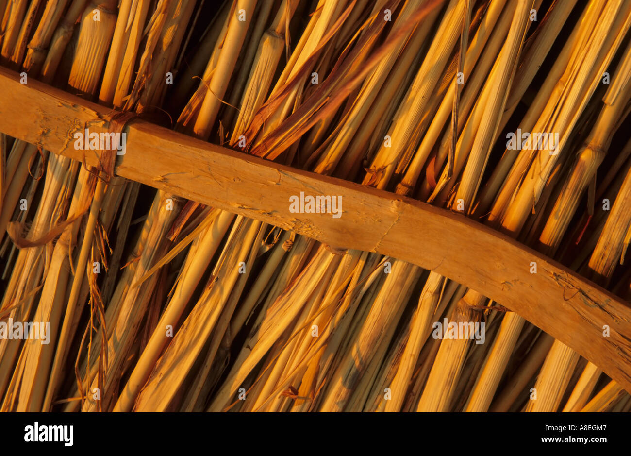 Reed fence africa hi-res stock photography and images - Alamy