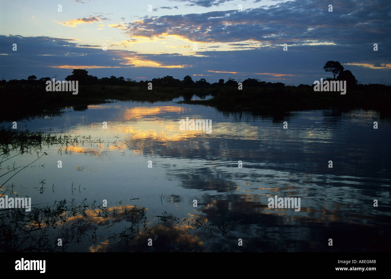 Reflection in water in the Eastern Caprivi, Namibia, Africa Stock Photo ...