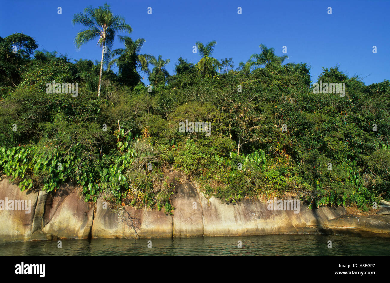 Paraci hi-res stock photography and images - Alamy