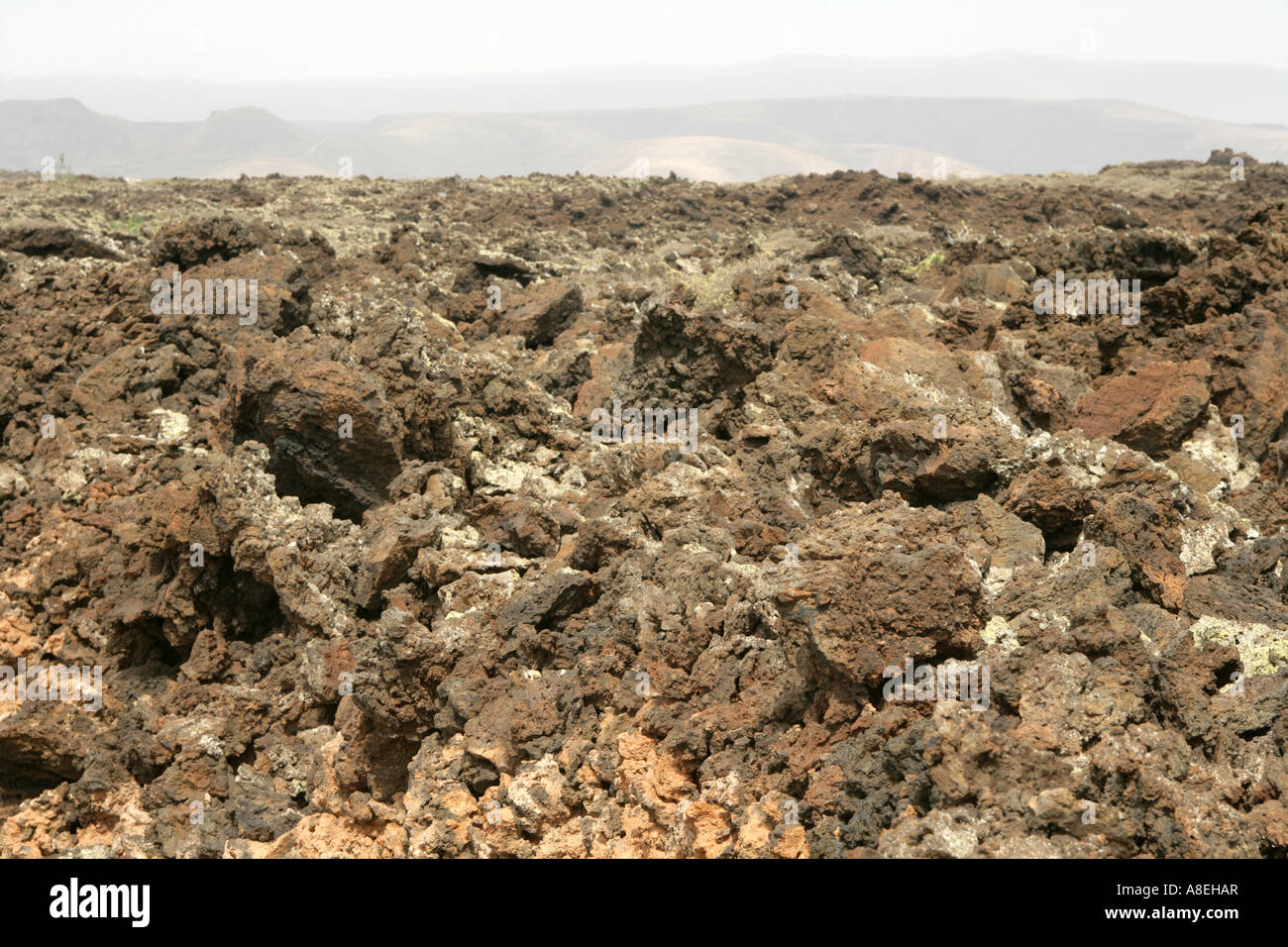 Lanzorate Canary Islands Stock Photo - Alamy