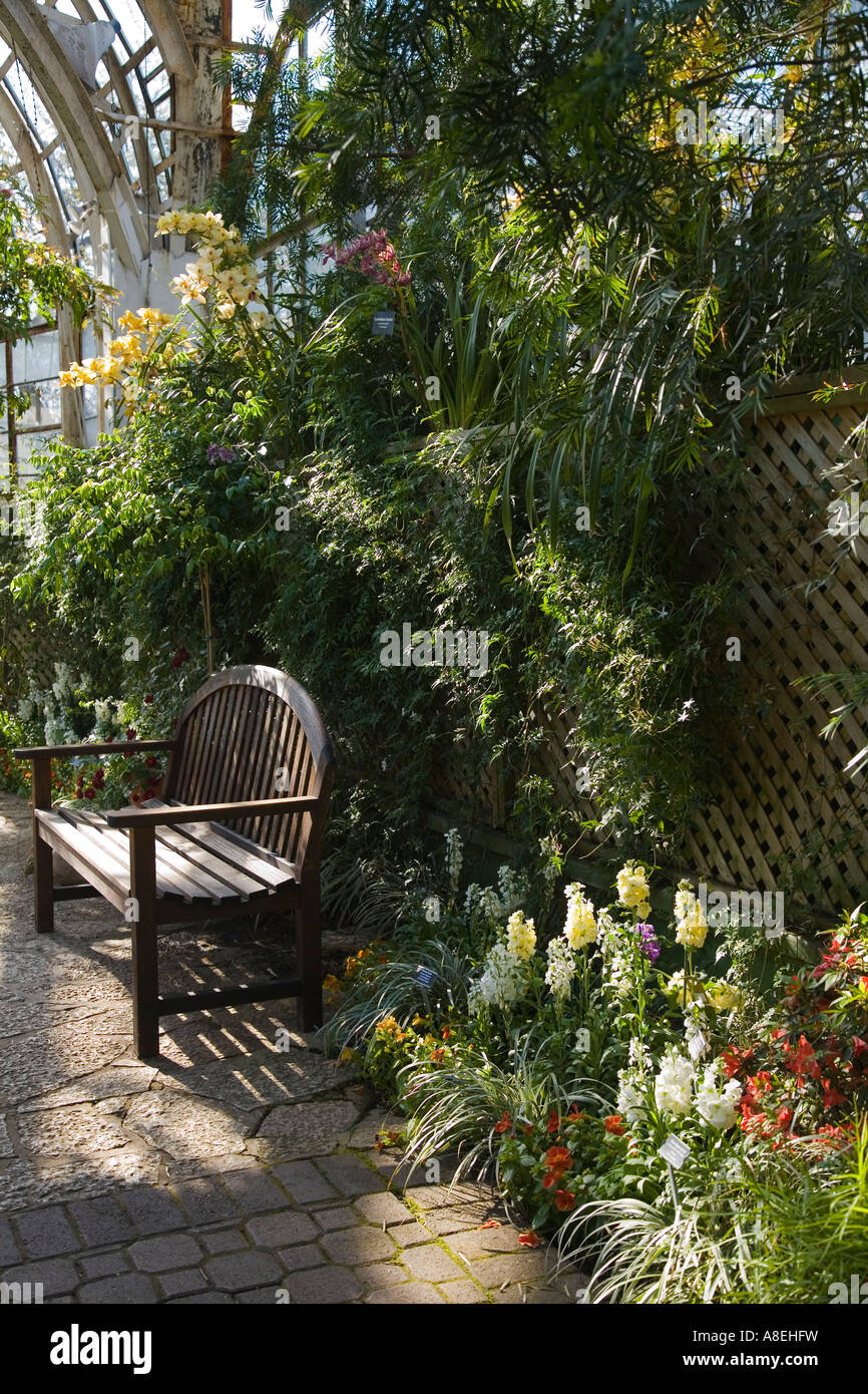 CHICAGO Illinois Spring flowers displayed in show room Lincoln Park ...