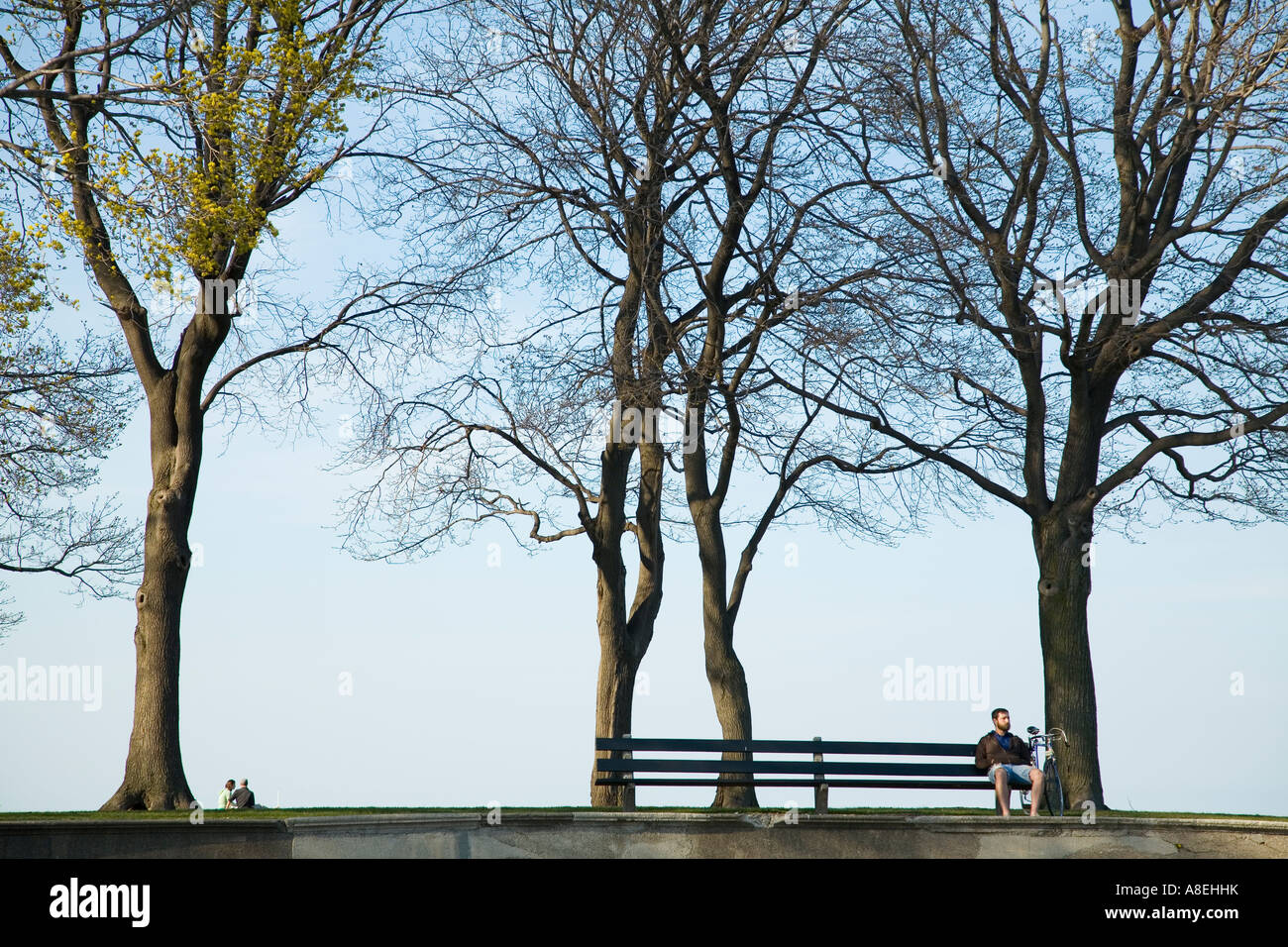 CHICAGO Illinois Man sit on park bench between trees Lake Michigan ...