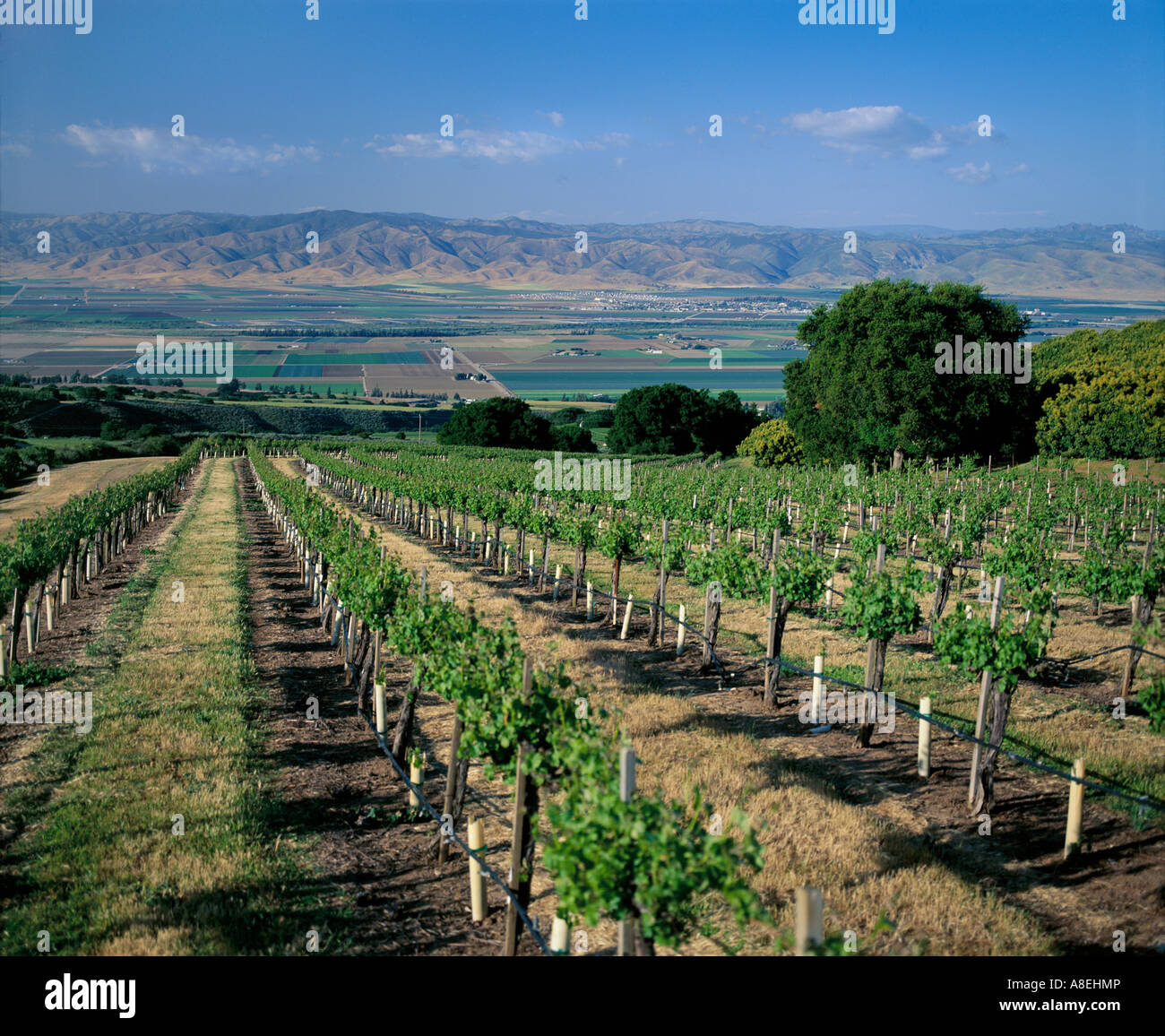 Spectacular view across the salinas valley to the gabilan mountains hi ...