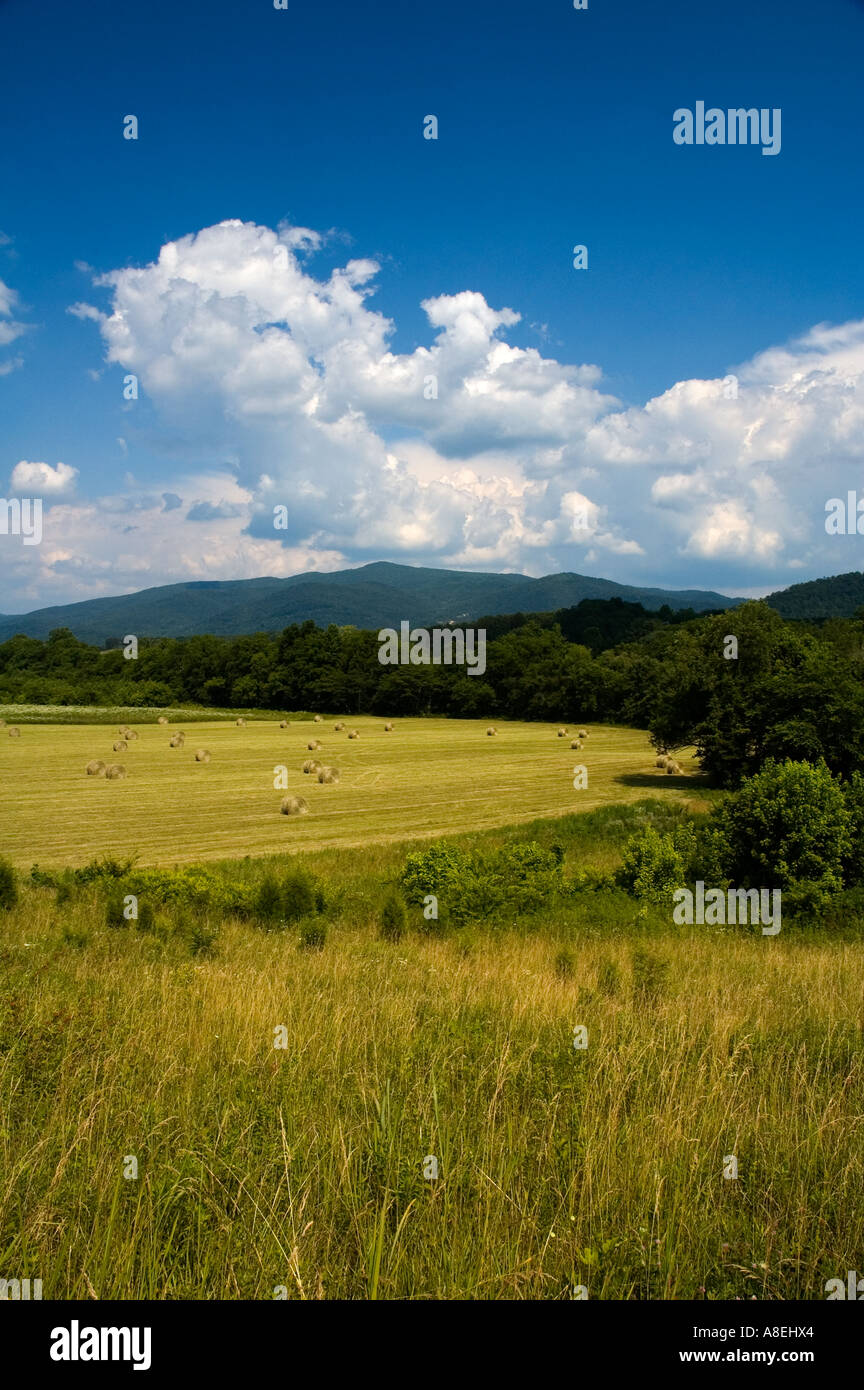 Early Summer Landscape East Tennessee Stock Photo - Alamy