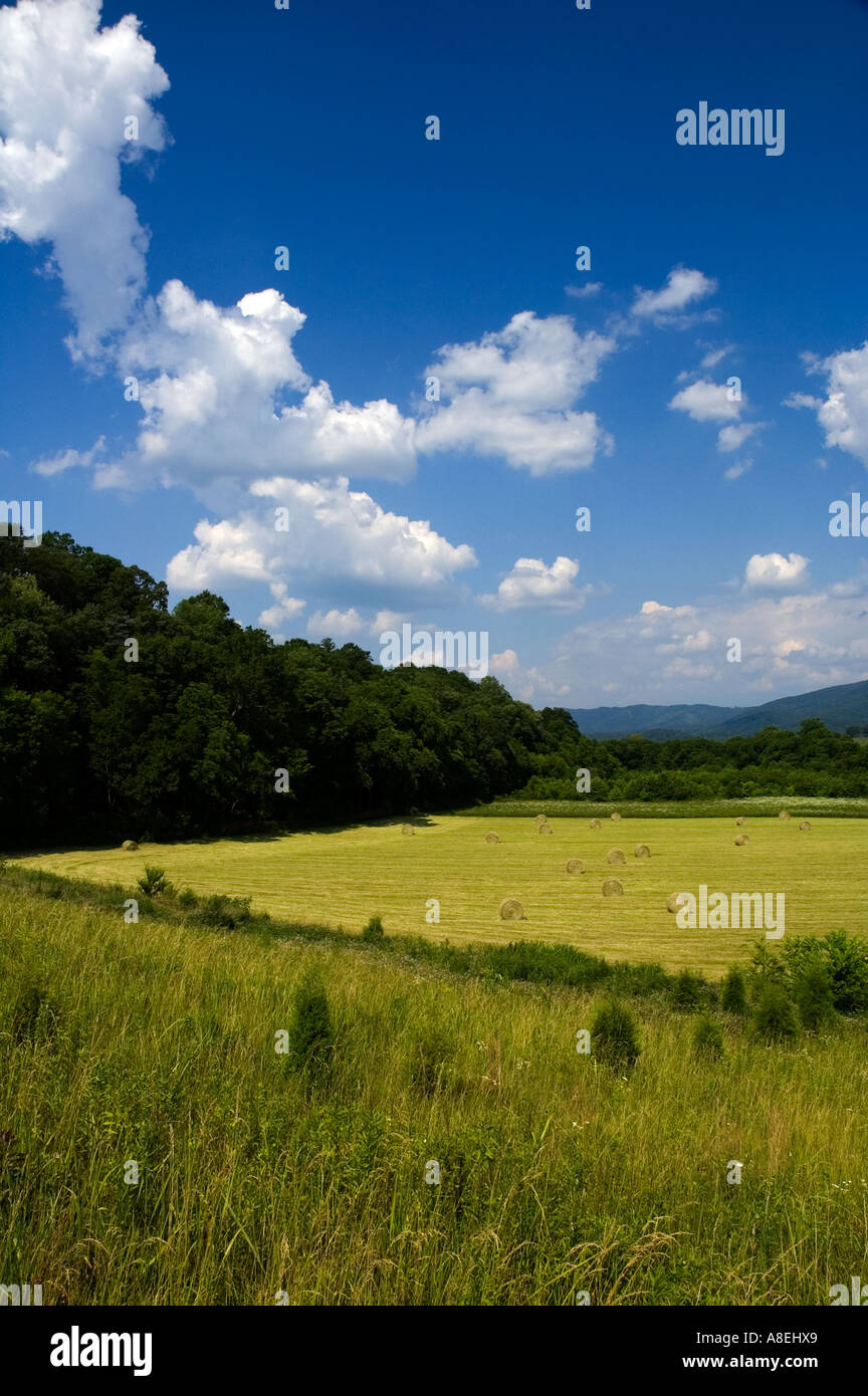 Early Summer Landscape East Tennessee Stock Photo - Alamy