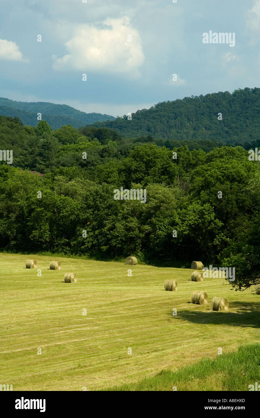 Early Summer Landscape East Tennessee Stock Photo - Alamy