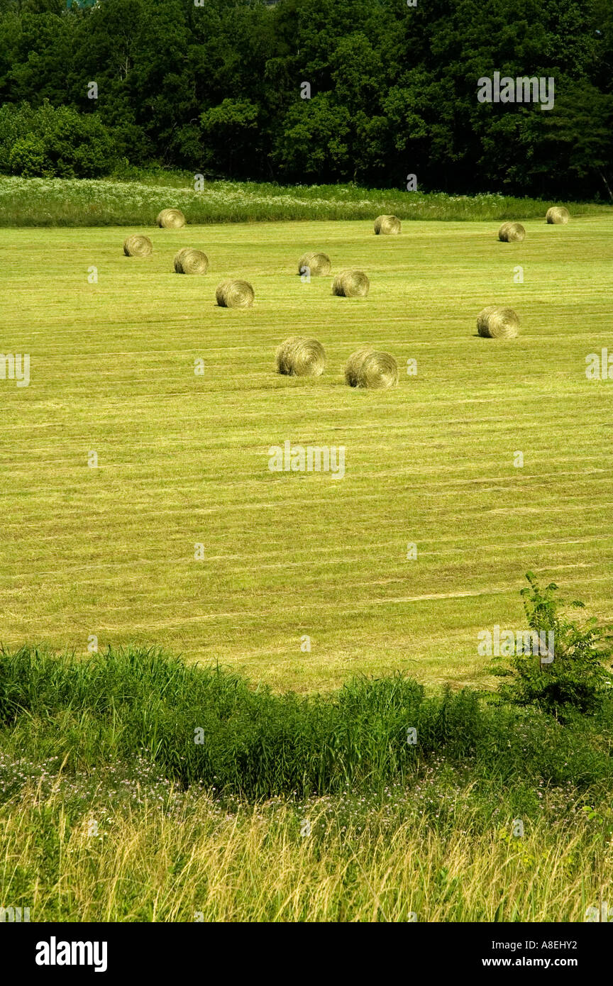 Early Summer Landscape East Tennessee Stock Photo - Alamy