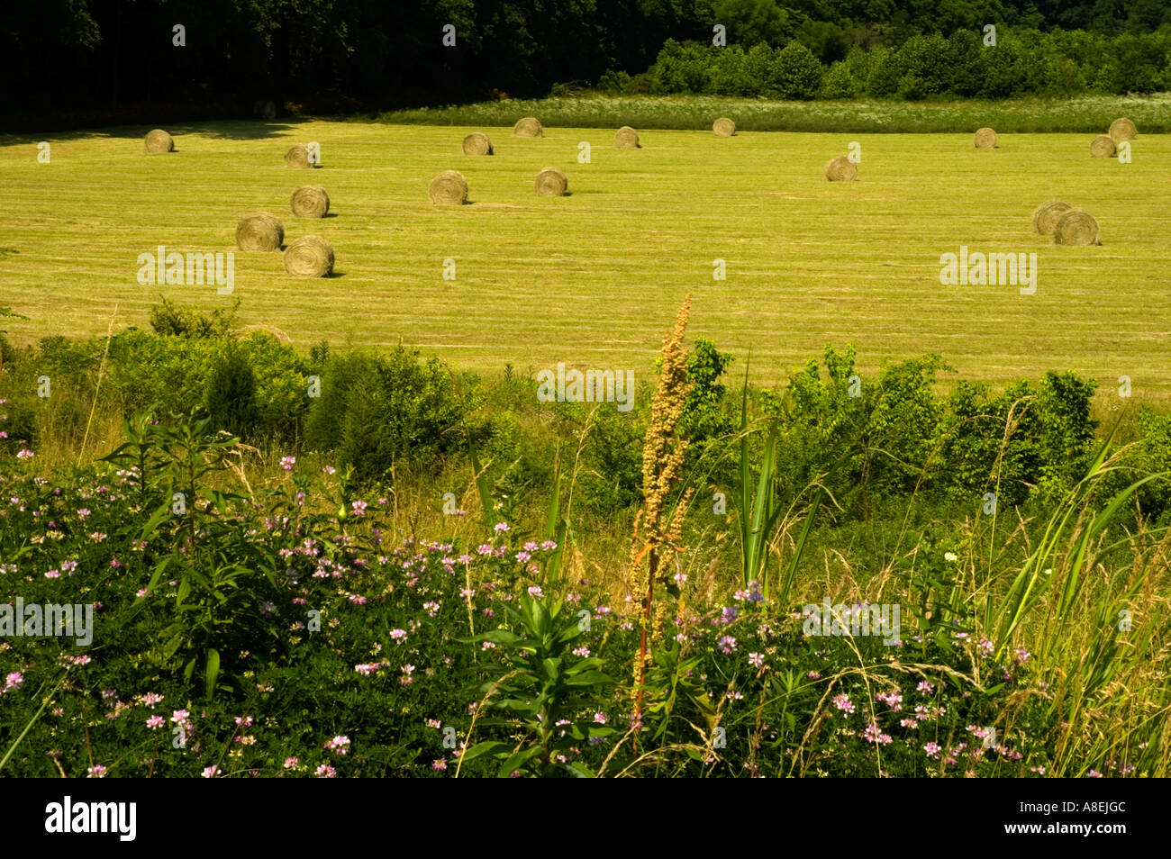 Seasons landscape spring summer hi-res stock photography and images - Alamy