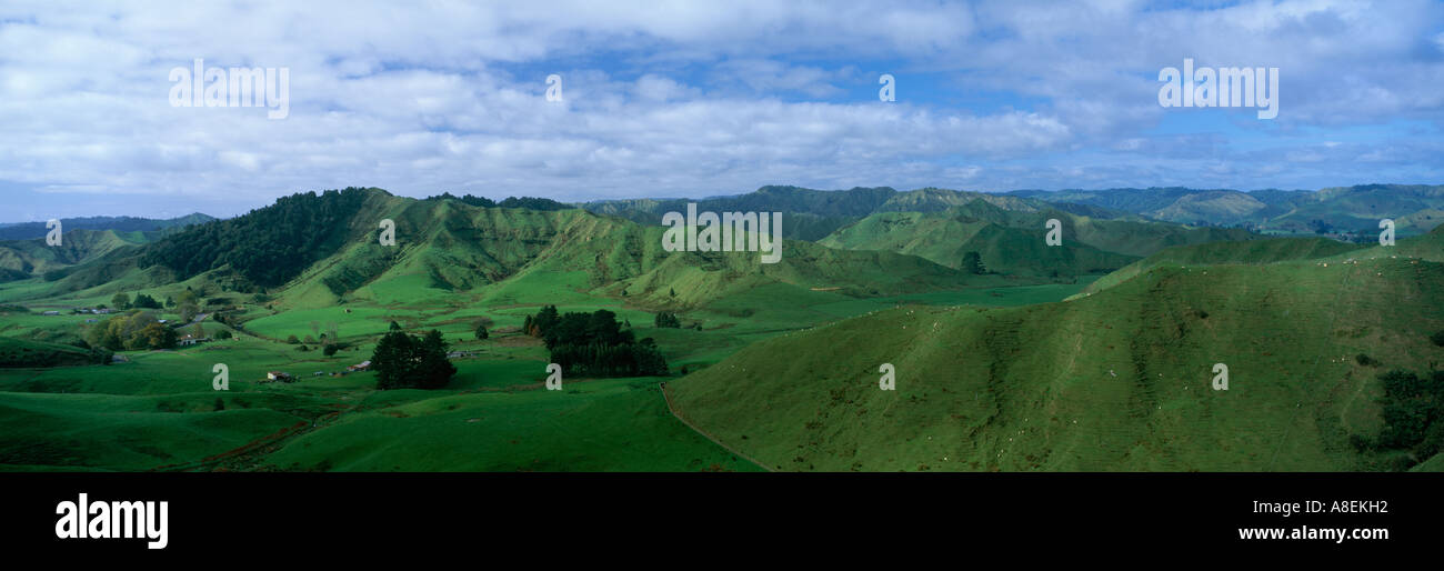 Pokura hi-res stock photography and images - Alamy