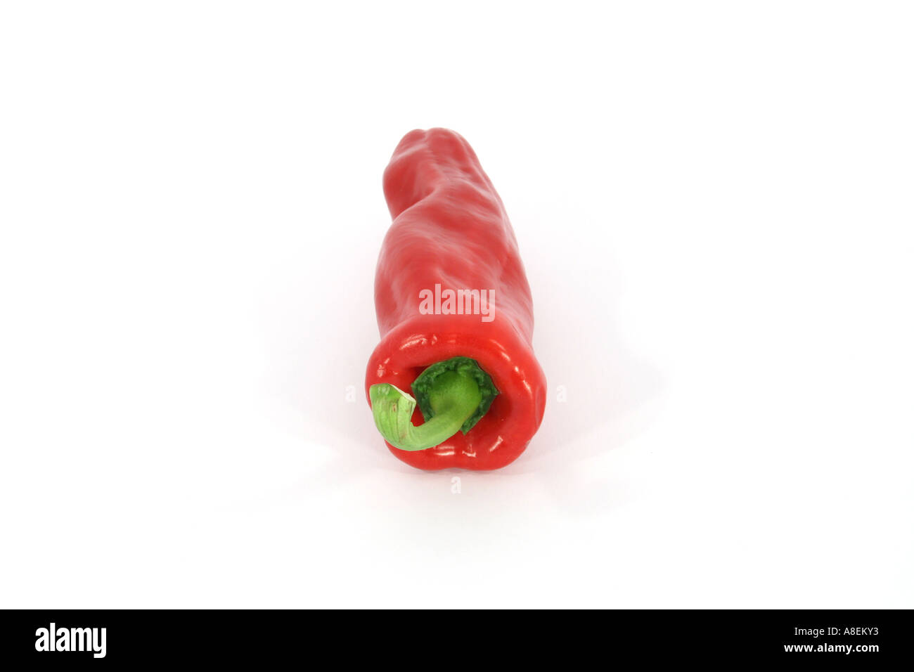 A single large long pepper face-on Stock Photo - Alamy