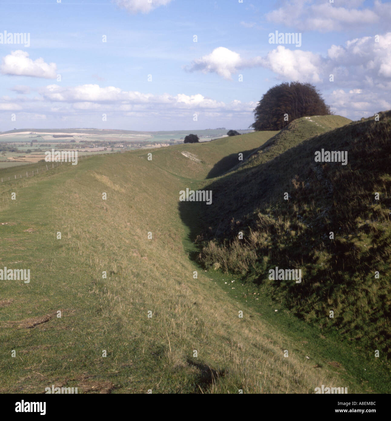 Barbury Castle Neolithic Hill Fort Wiltshire UK Stock Photo - Alamy