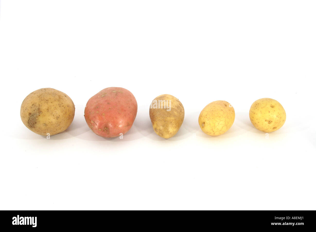 Different types of potato Stock Photo - Alamy