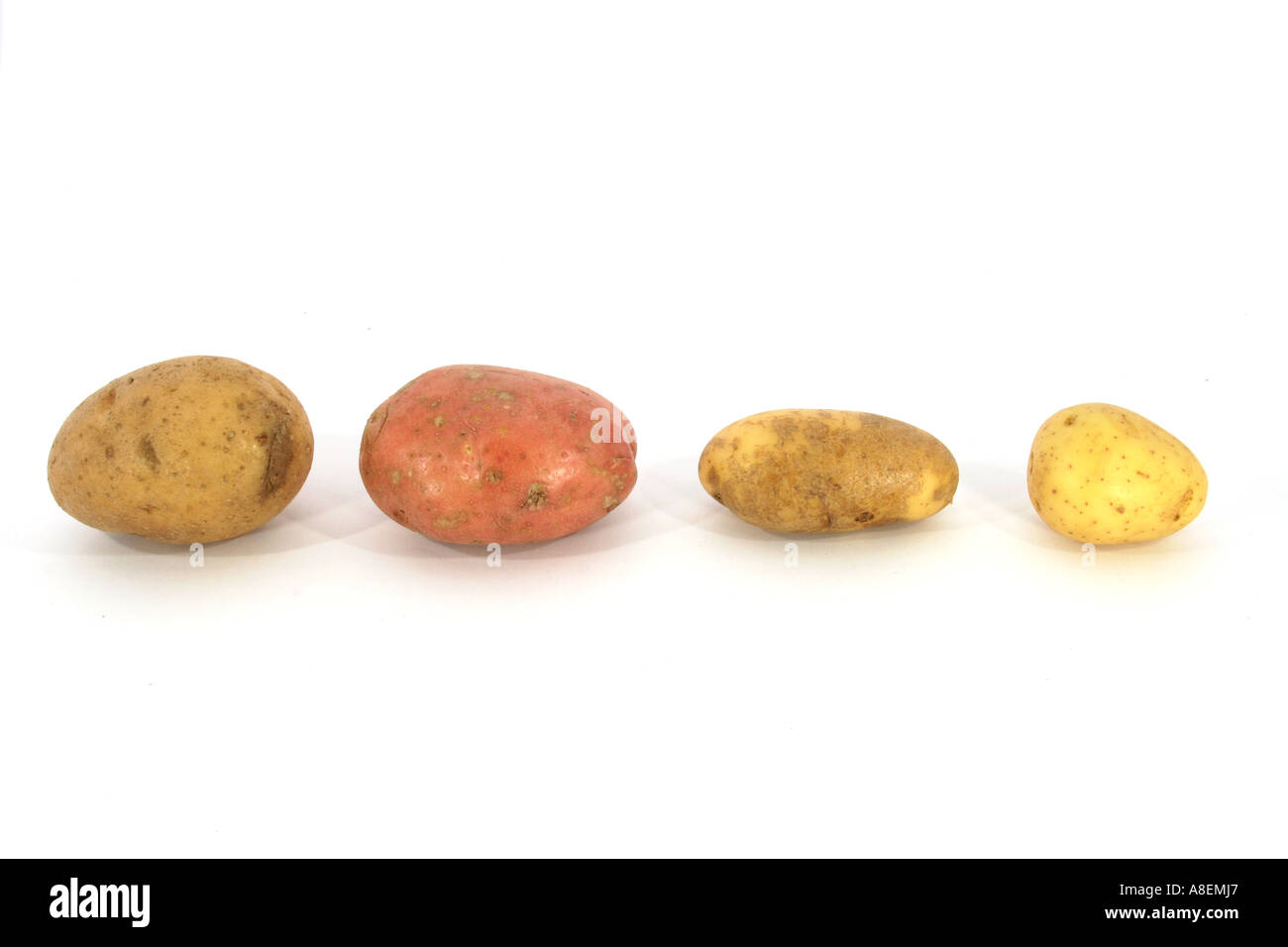 Potatoe types hi-res stock photography and images - Alamy