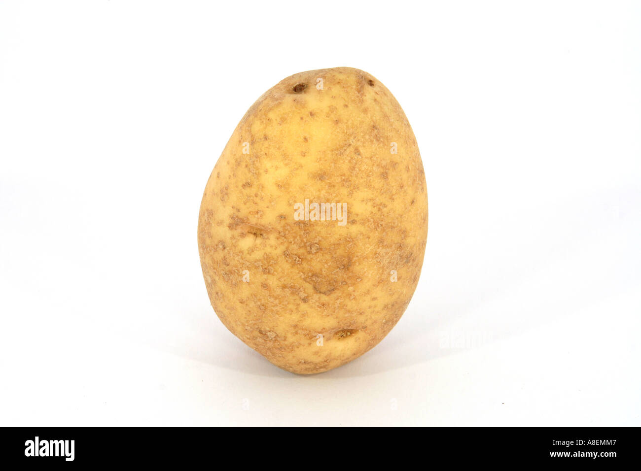 A single potato Stock Photo - Alamy