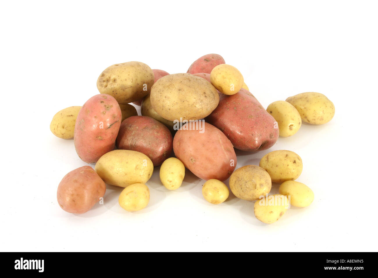 Pile maris piper potatoes hi-res stock photography and images - Alamy