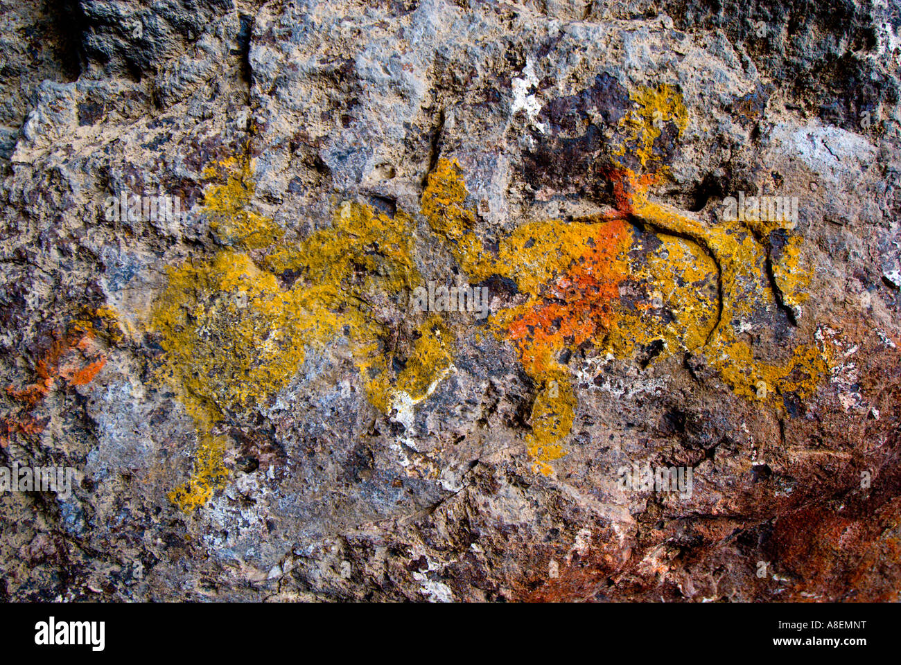 Animals and Hunting Scene Painting, Rio Pinturas Canyon, Cave of the ...