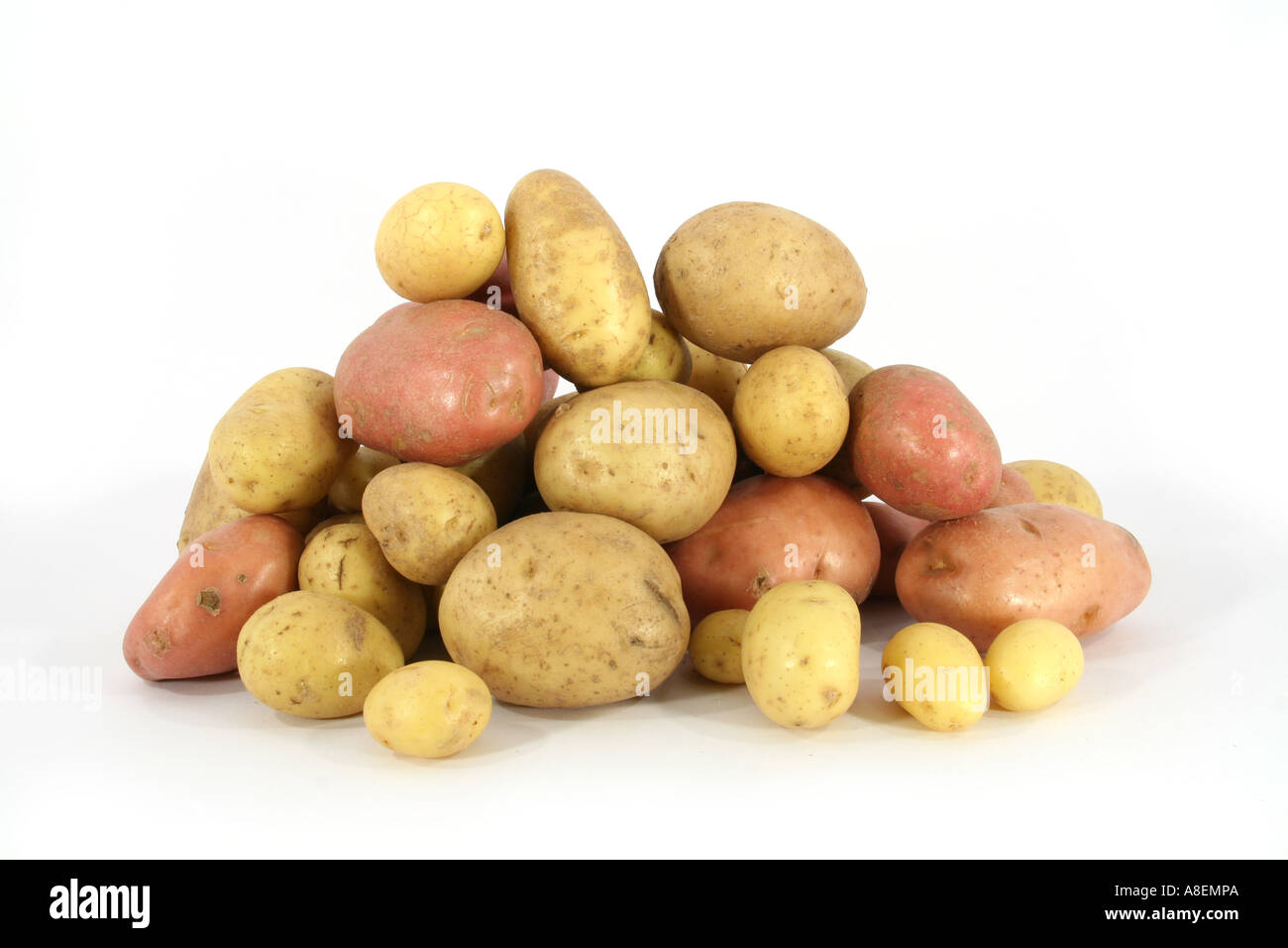 Pile maris piper potatoes hi-res stock photography and images - Alamy
