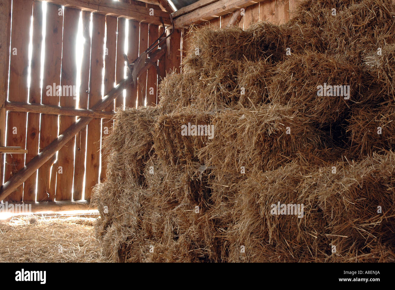Stack of straw inside the barn Stock Photo - Alamy