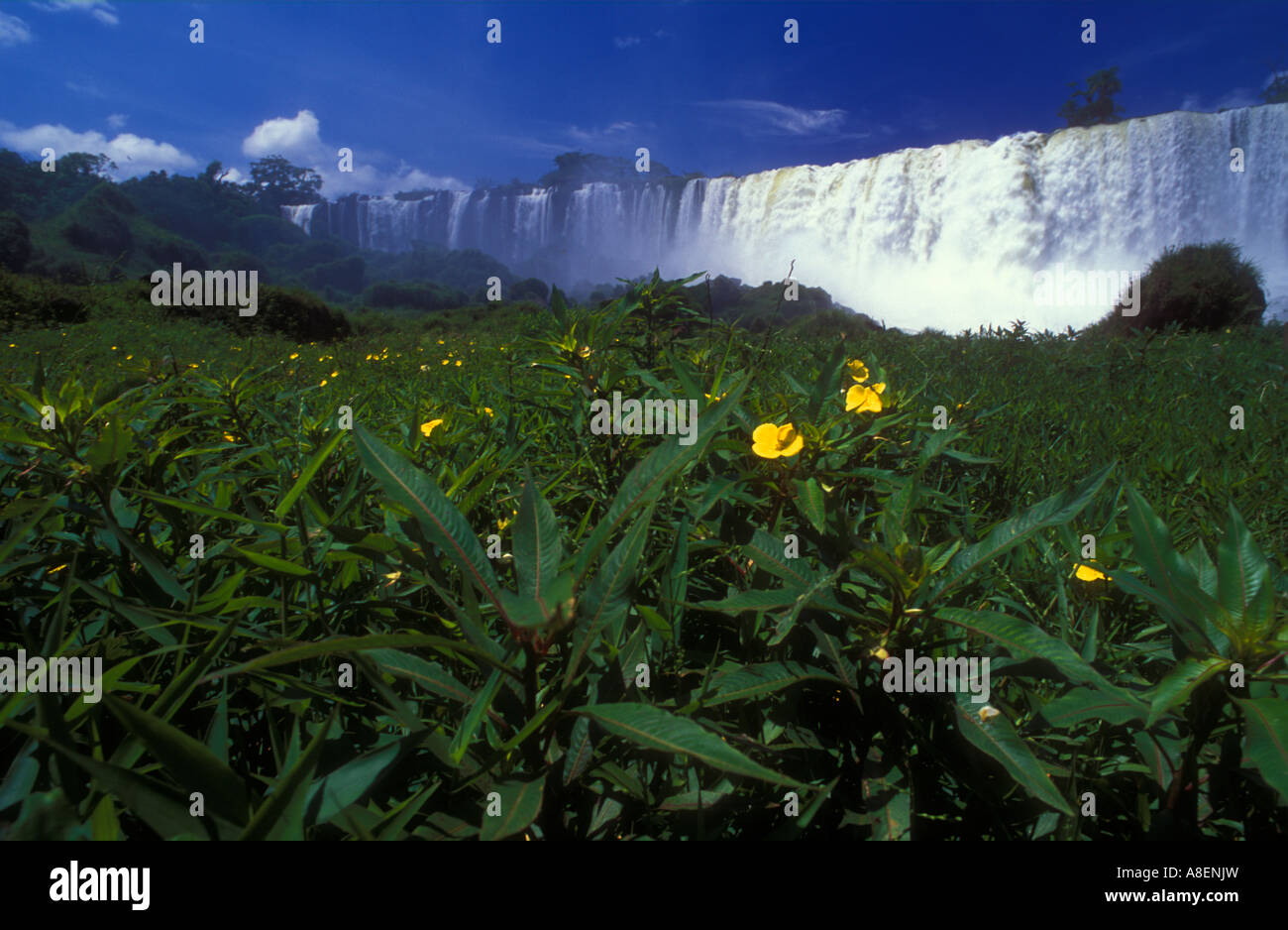 Isla San Martin, Iguazu Falls National Park, Cataratas del Iguazú ...