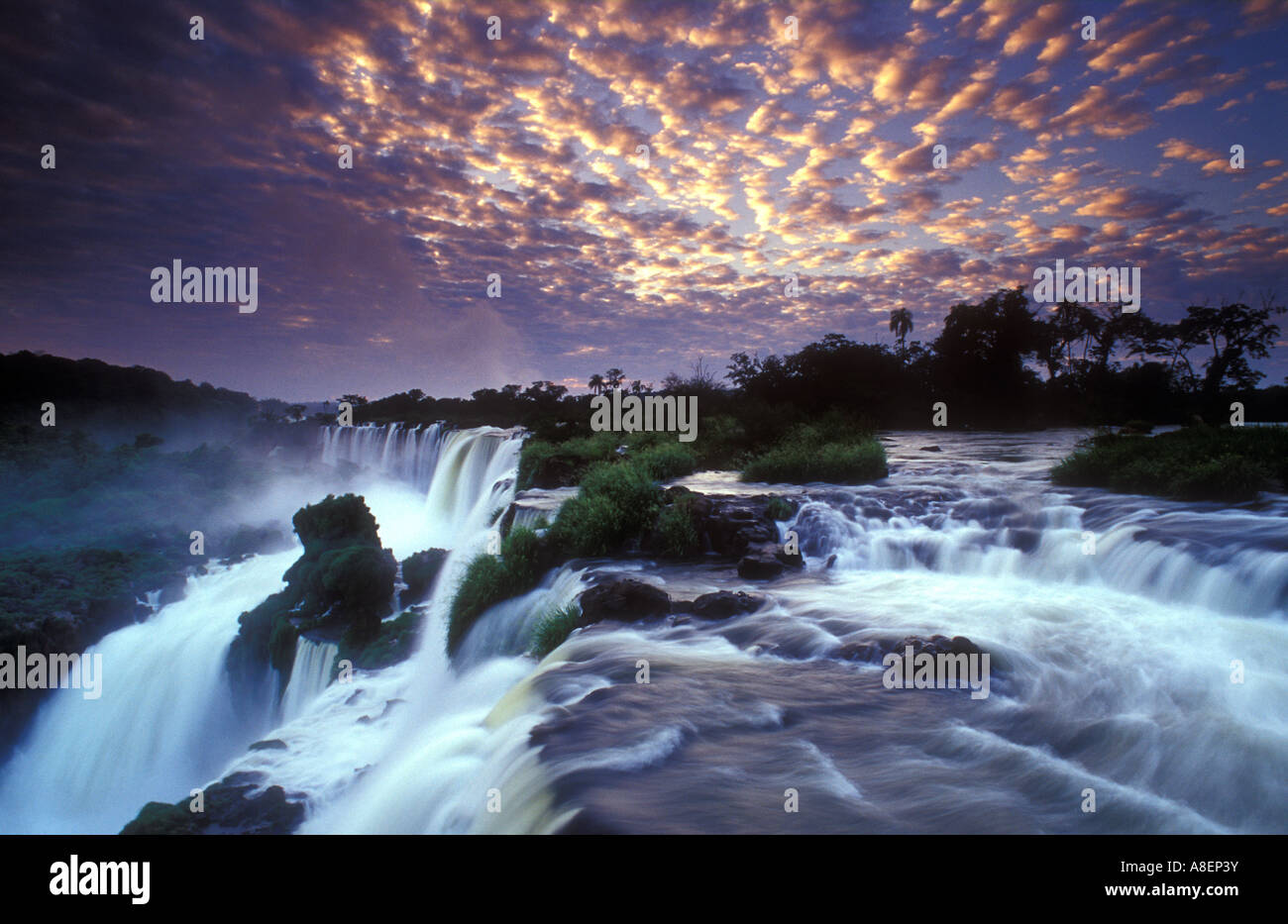 Iguazu Falls National Park Cataratas Del Iguazú Subtropical