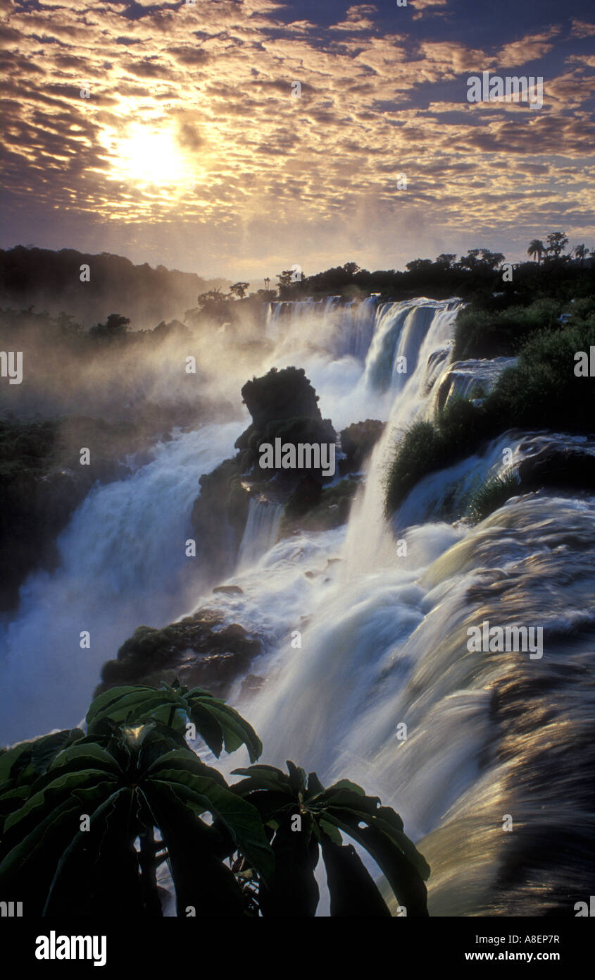 Iguazu Falls National Park Cataratas Del Iguazú Subtropical