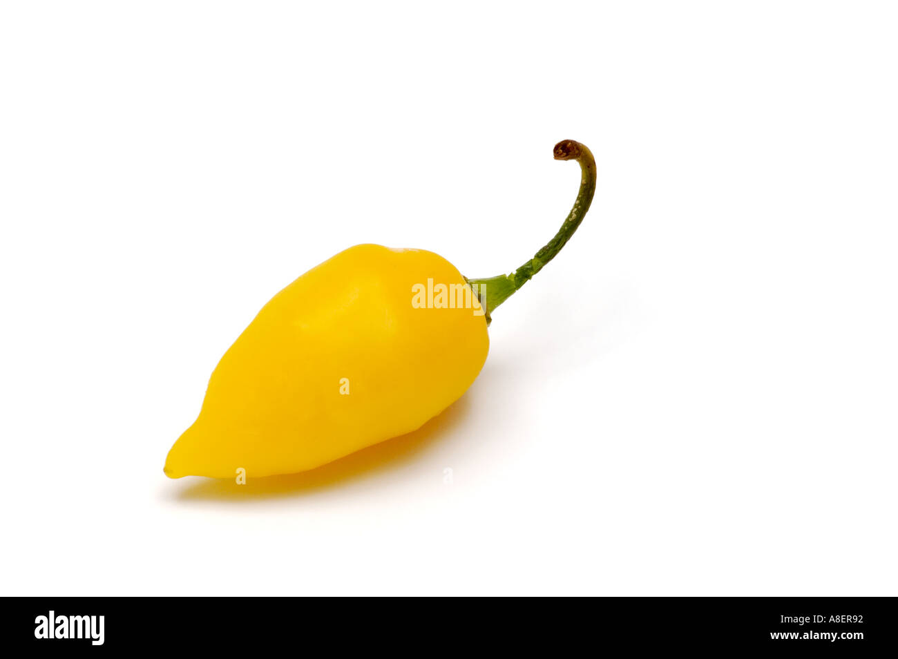 Yellow Fatalii chilli on white background Stock Photo - Alamy