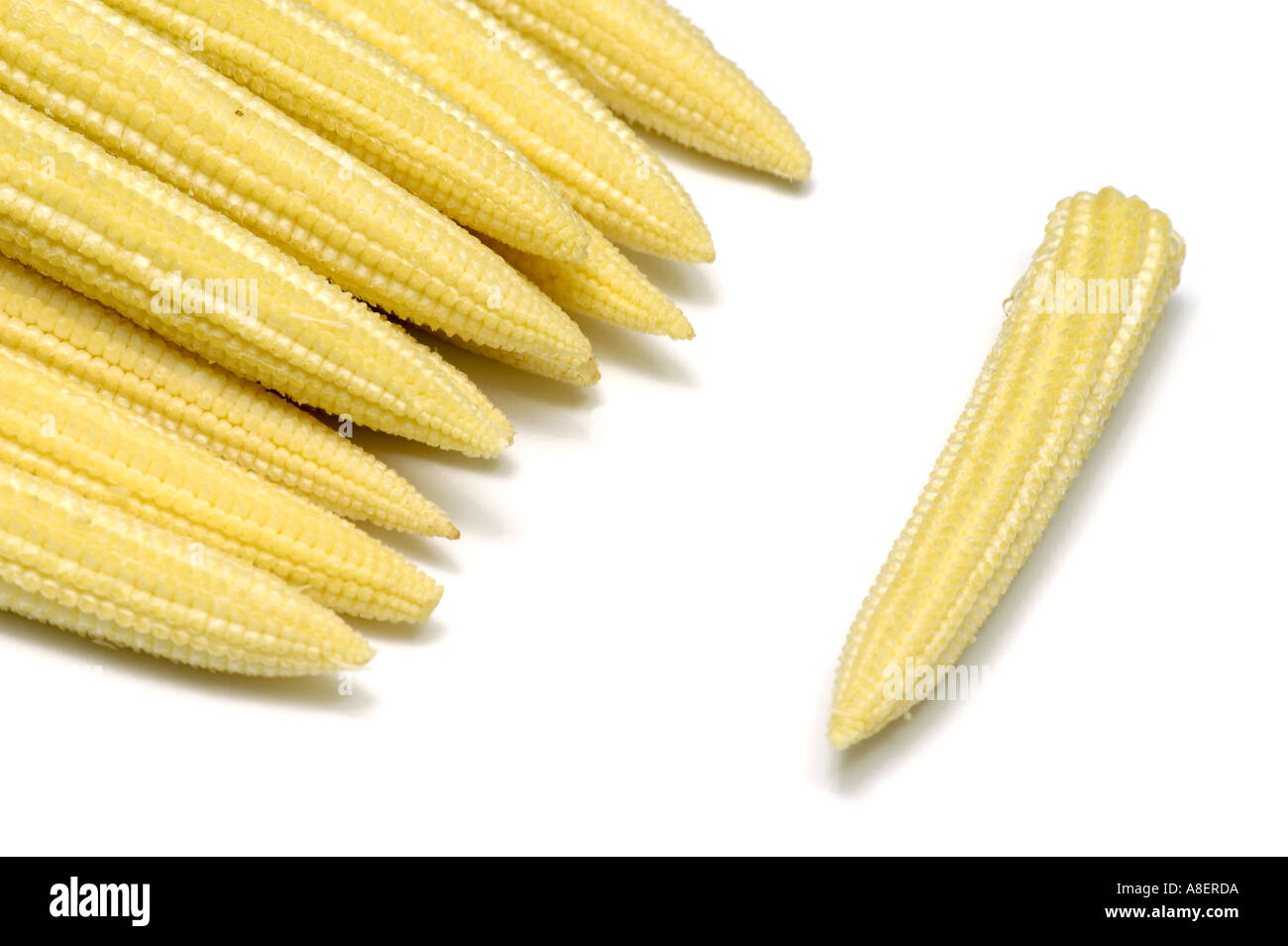 Baby corn on white background Stock Photo - Alamy