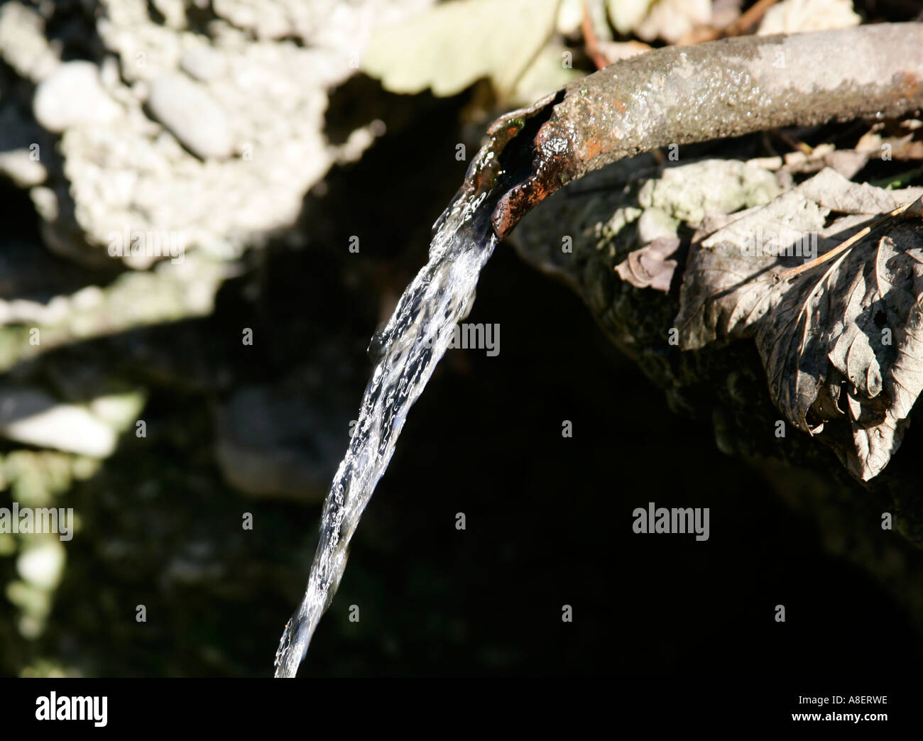 Spring water pouring out of rusty pipe Stock Photo - Alamy