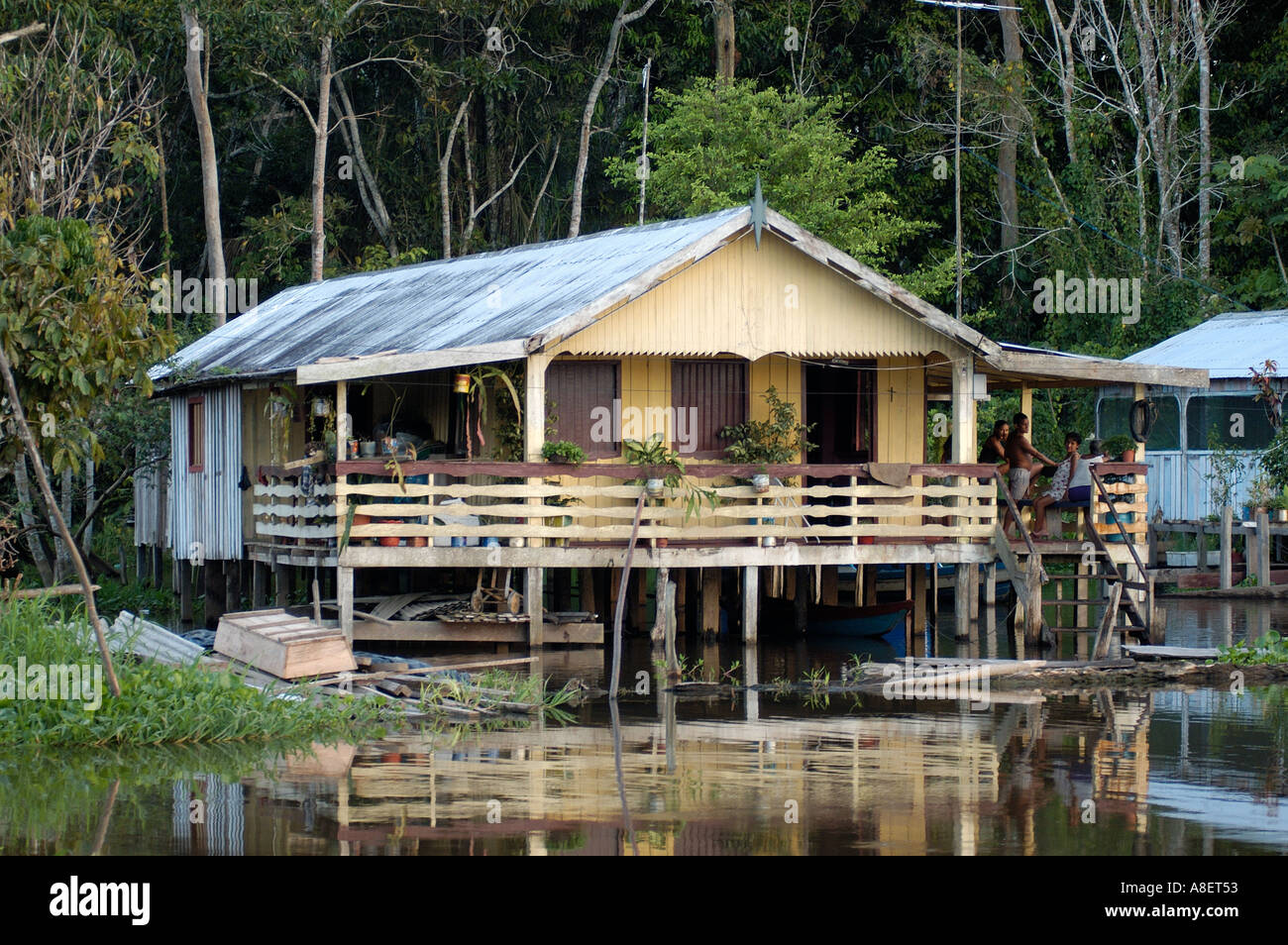 floating home house in amazon river rio negro jungle background forest ...