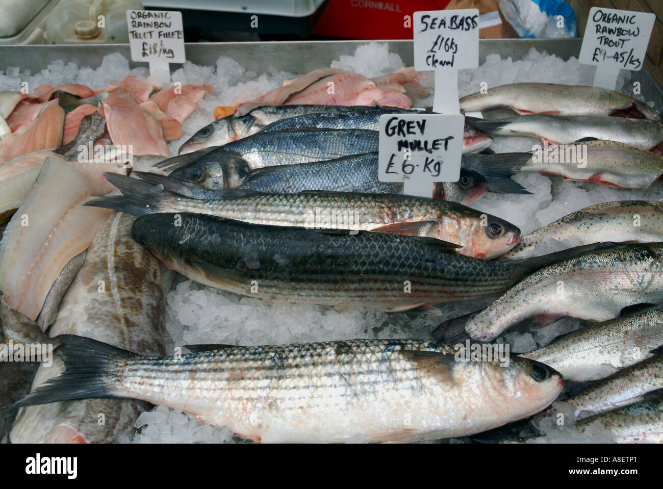 ORGANIC FISH MARKET Stock Photo - Alamy