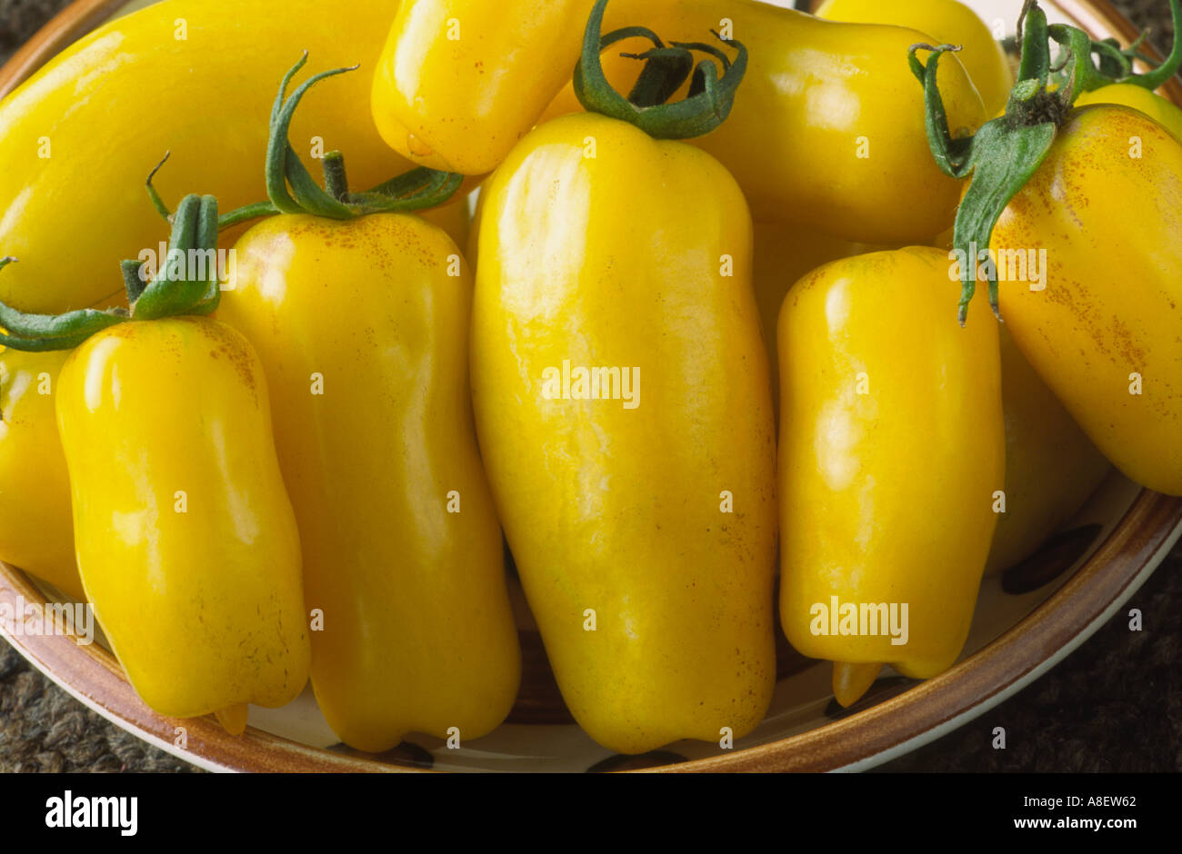 Solanum lycopersicum syn Lycopersicon esculentum 'Banana Legs'. Yellow ...