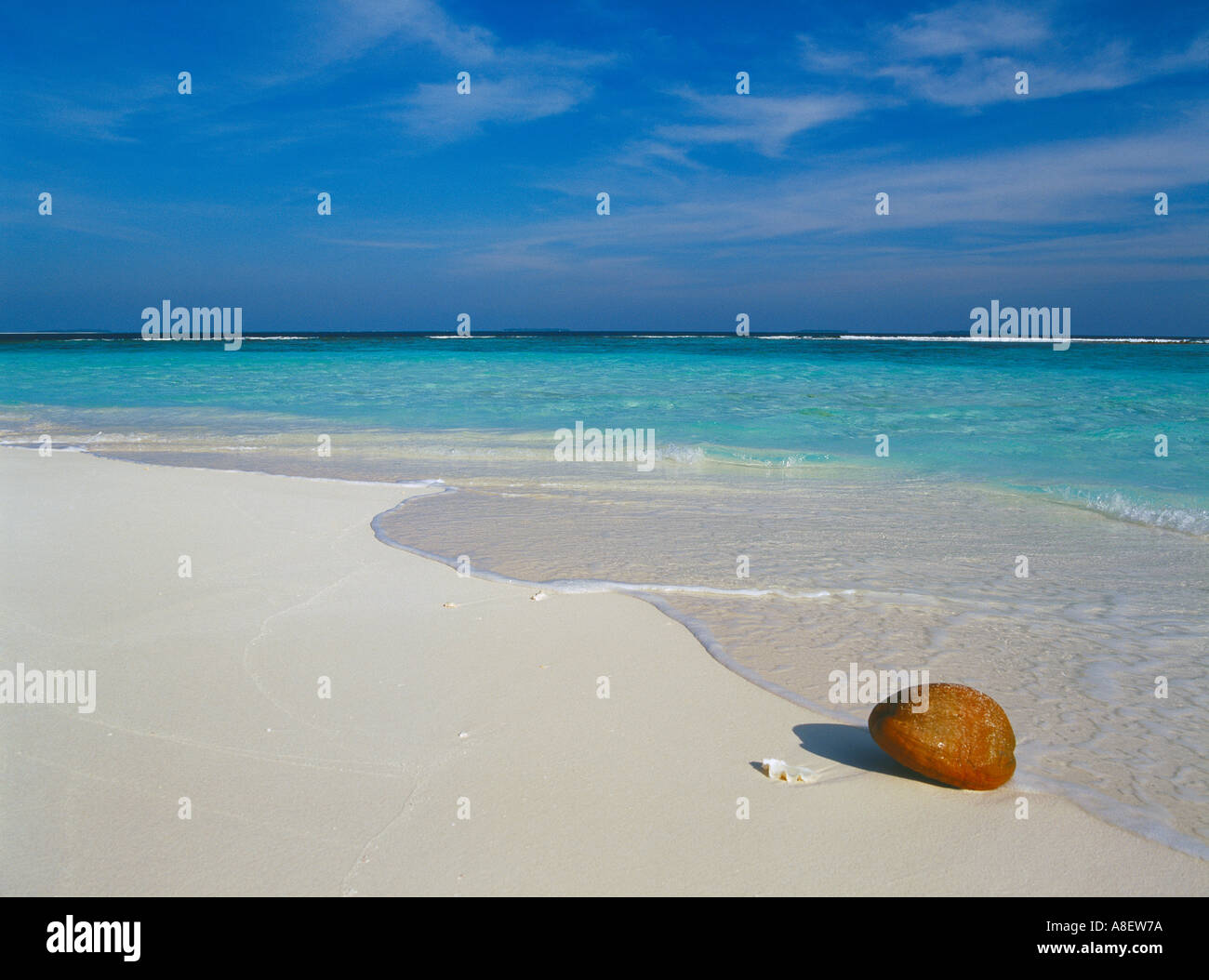 Maldives islands Indian ocean Baa atoll coconut, beach Stock Photo - Alamy