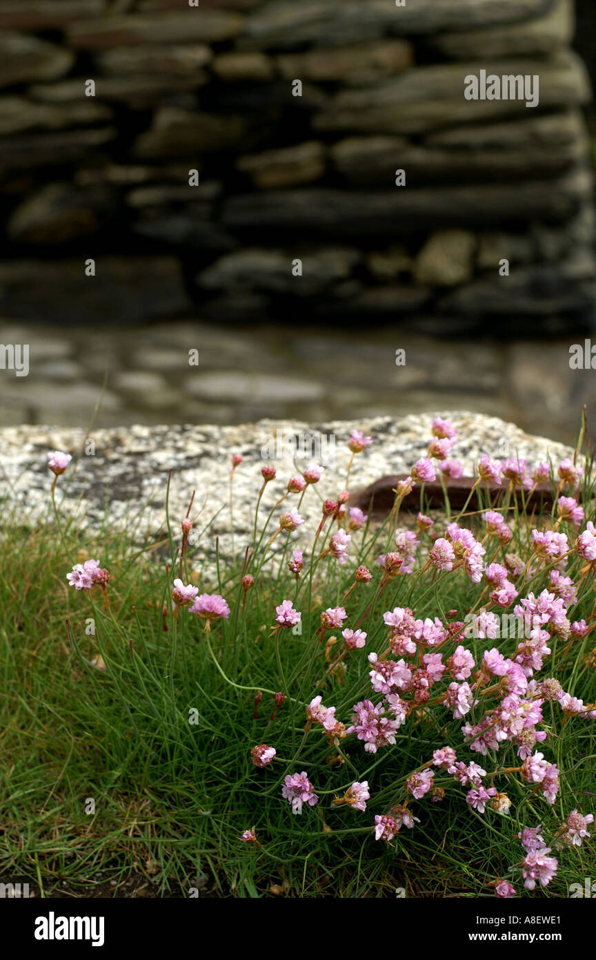 Carrick roads cornwall hi-res stock photography and images - Alamy