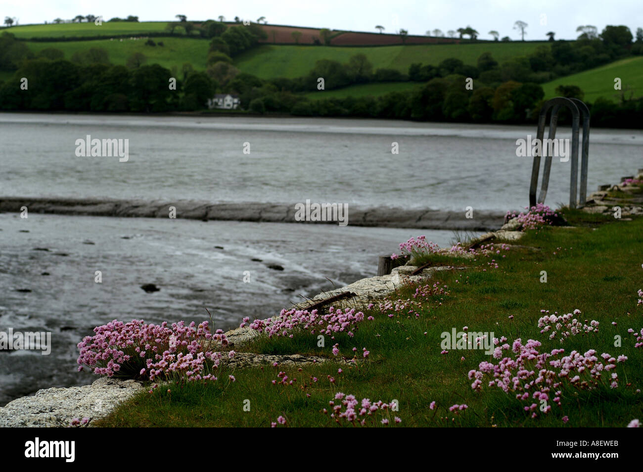 Carrick cornwall hi-res stock photography and images - Alamy