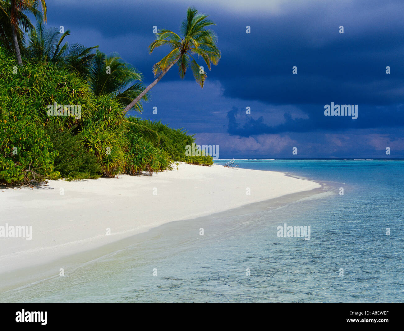 Maldives islands Indian ocean Baa atoll, beach Stock Photo - Alamy