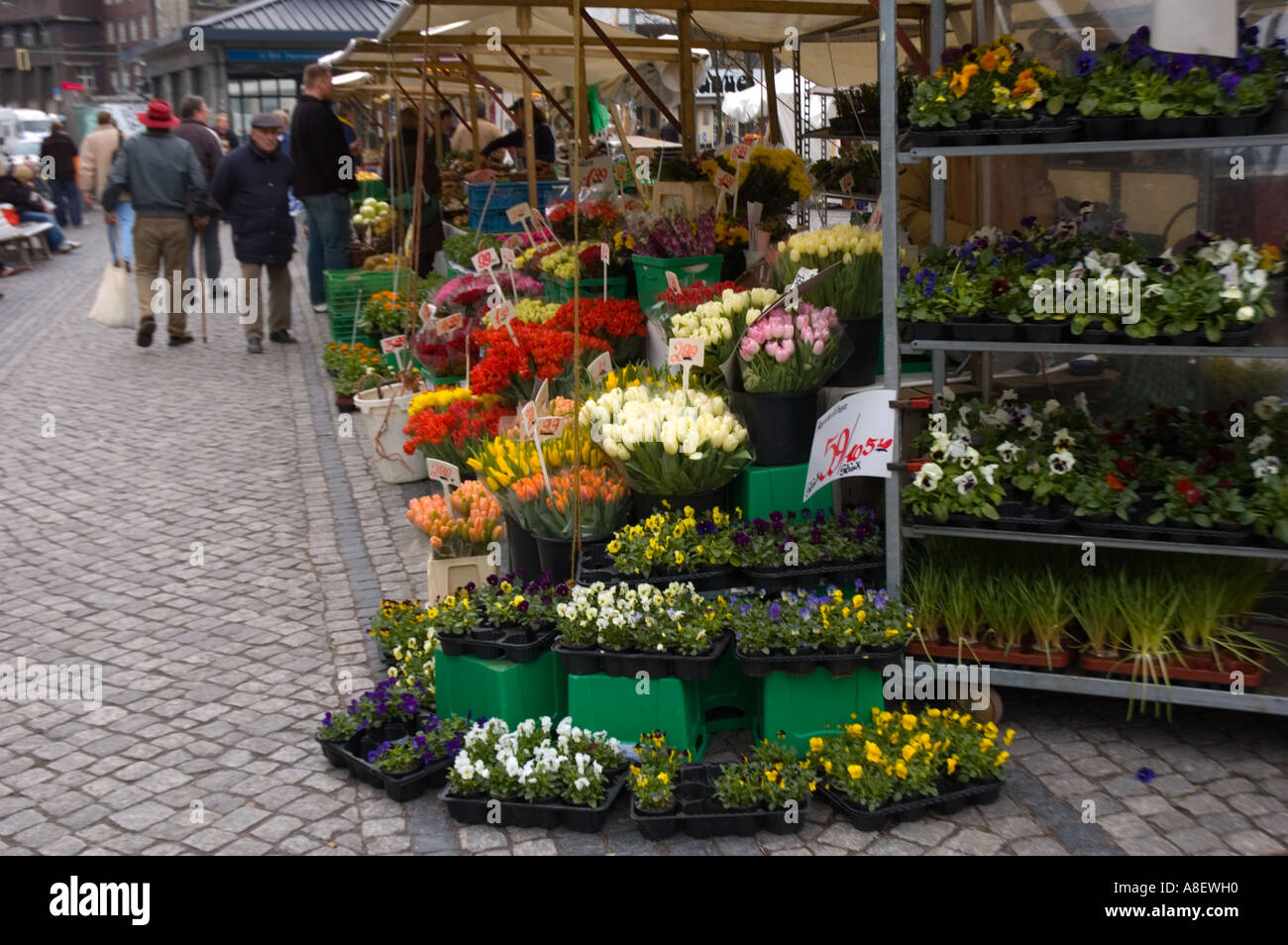 Hermannplatz markt hi-res stock photography and images - Alamy