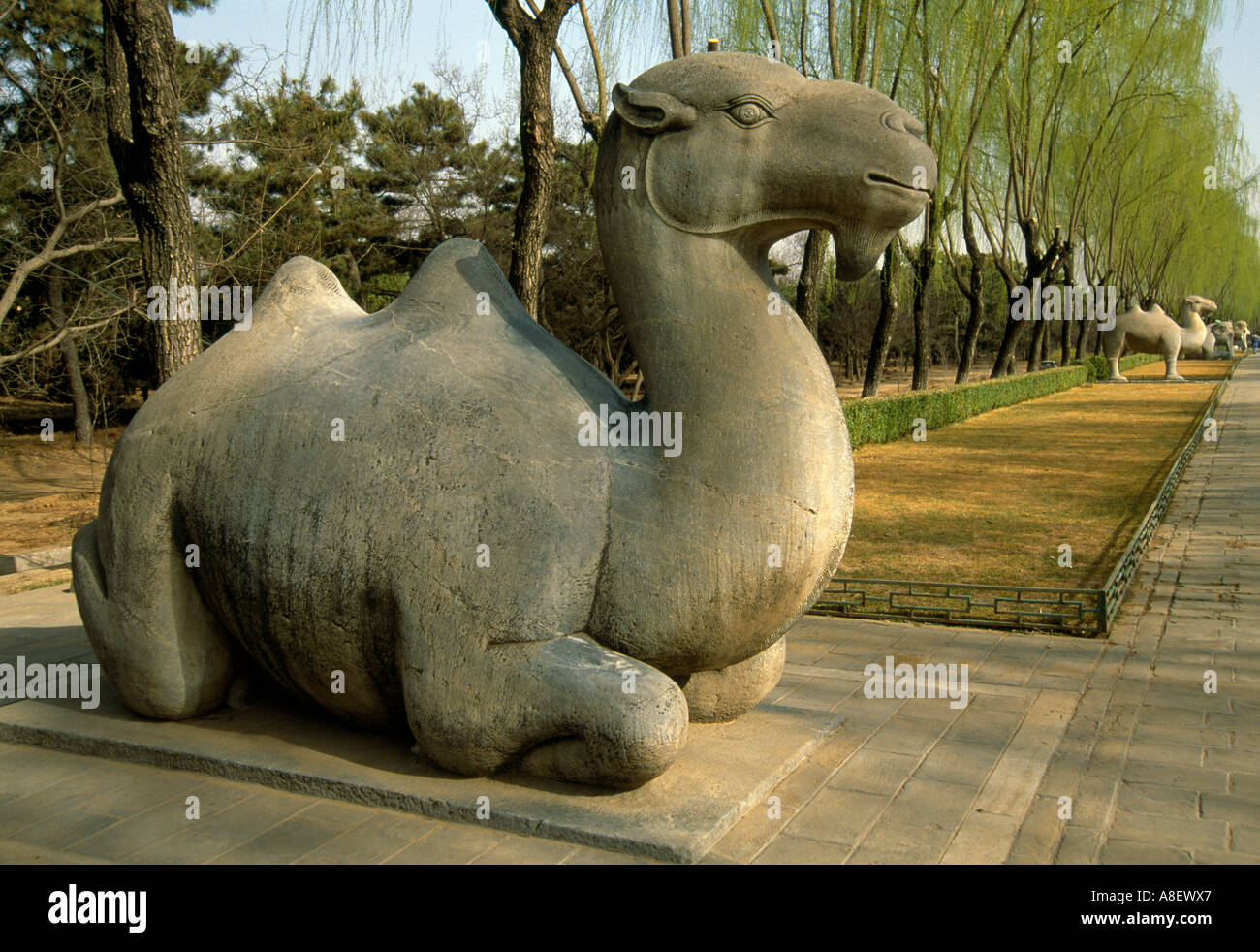 Spirit Way, Ming Tombs near Beijing, China Stock Photo - Alamy