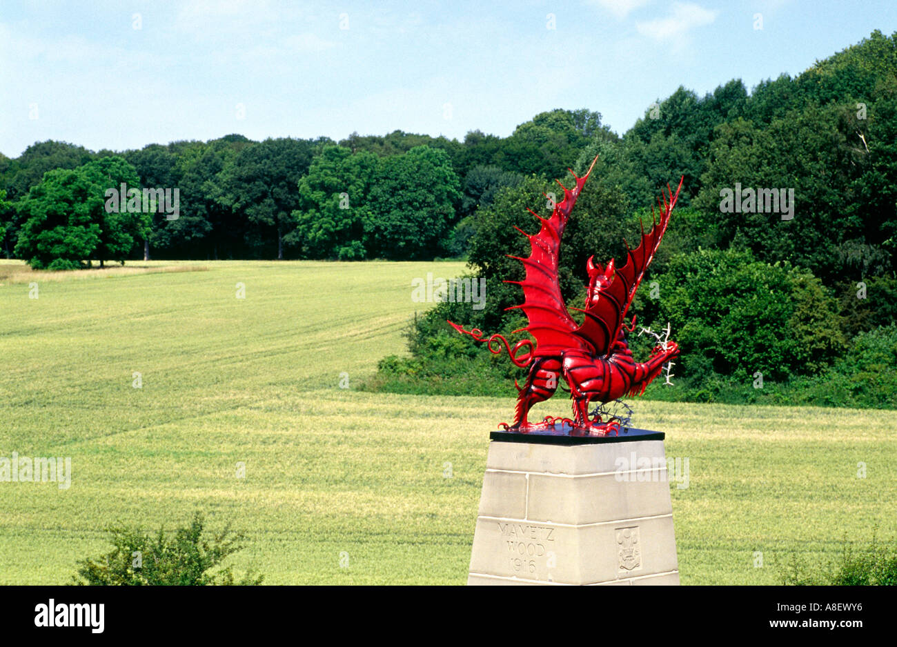 Welsh 38th division memorial hi-res stock photography and images - Alamy
