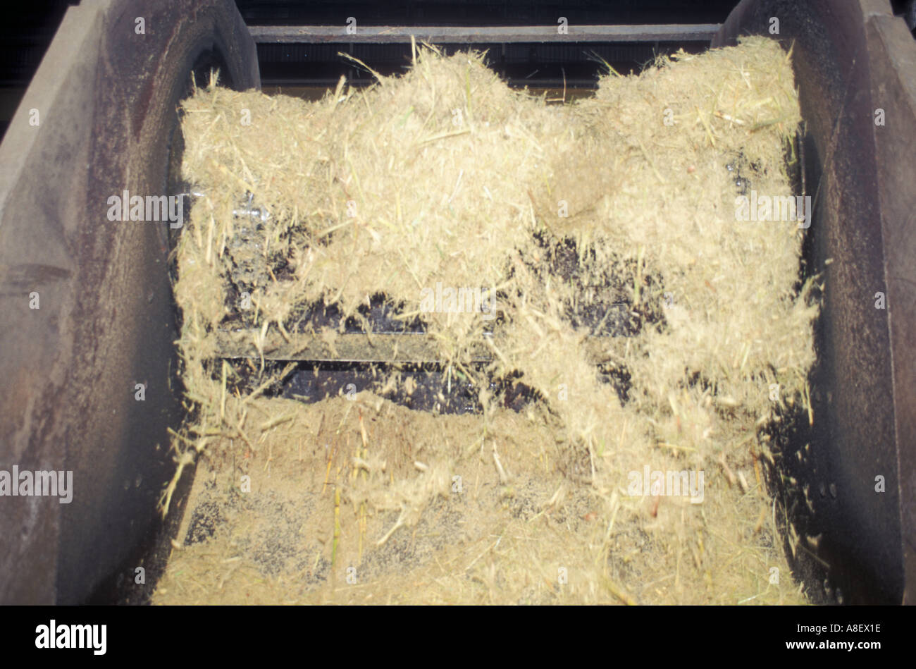 Raw Sugar Cane Processing Taiwan Republic Of China Stock Photo - Alamy