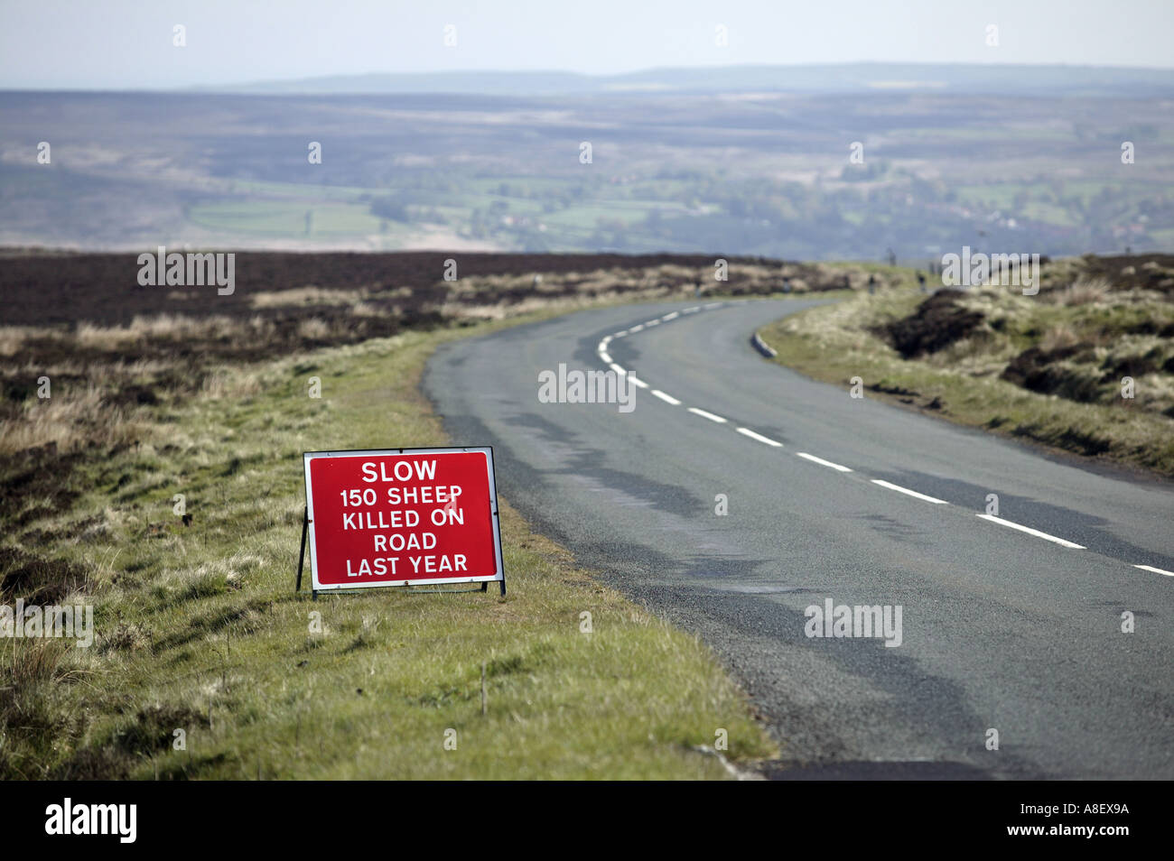 Sheep Grazing Sign High Resolution Stock Photography and Images - Alamy
