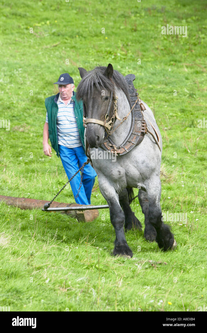 Draught harness hi-res stock photography and images - Alamy