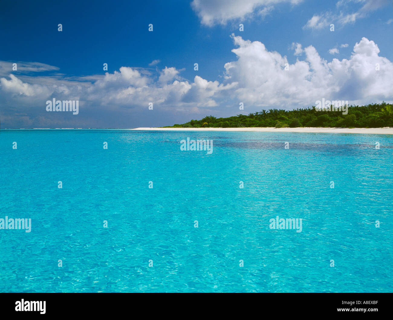 Maldives islands Indian ocean Baa atoll, beach Stock Photo - Alamy