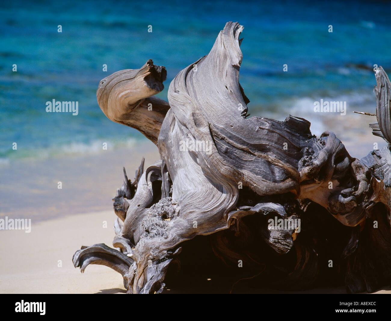 Maldives islands Indian ocean Baa atoll Stock Photo - Alamy