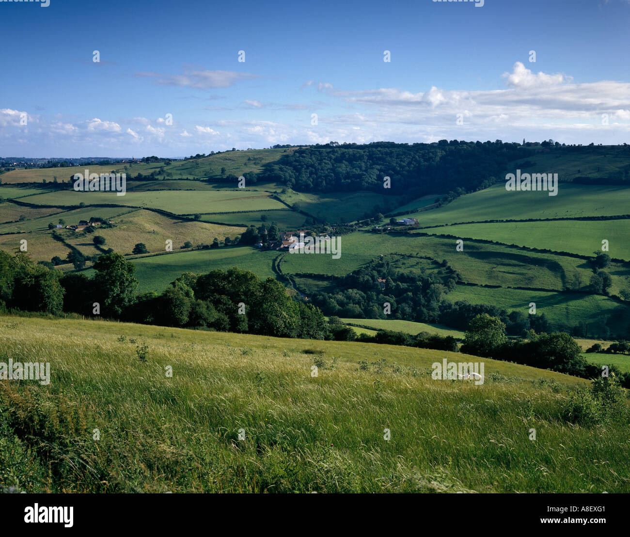 VIEW WEST TOWARDS LANSDOWN FROM A46 NR COLD ASHTON BATH UK Stock Photo ...