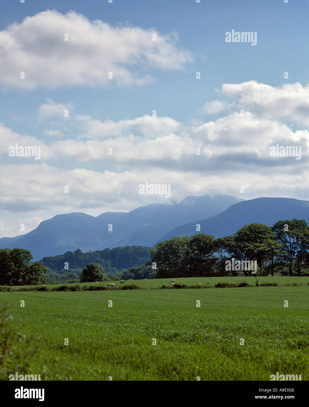 CUMBRIAN MOUNTAINS FROM NEAR SANTON BRIDGE IN SUMMER CUMBRIA UK Stock ...
