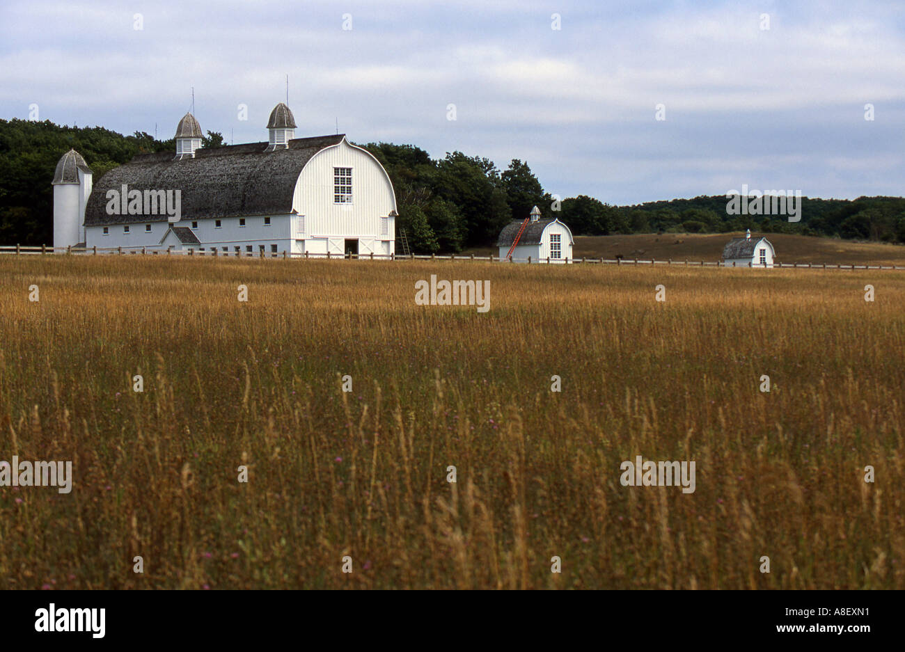 Three Vintage Barns Stock Photo - Alamy