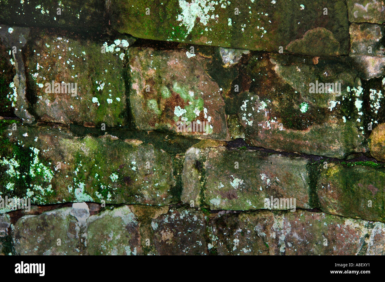 Moss Covered Stone Wall Stock Photo - Alamy