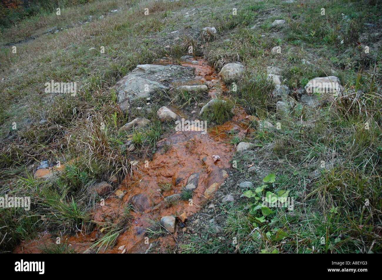 Iron Oxide slurry seeping from mountain side pasture, Canada Stock ...