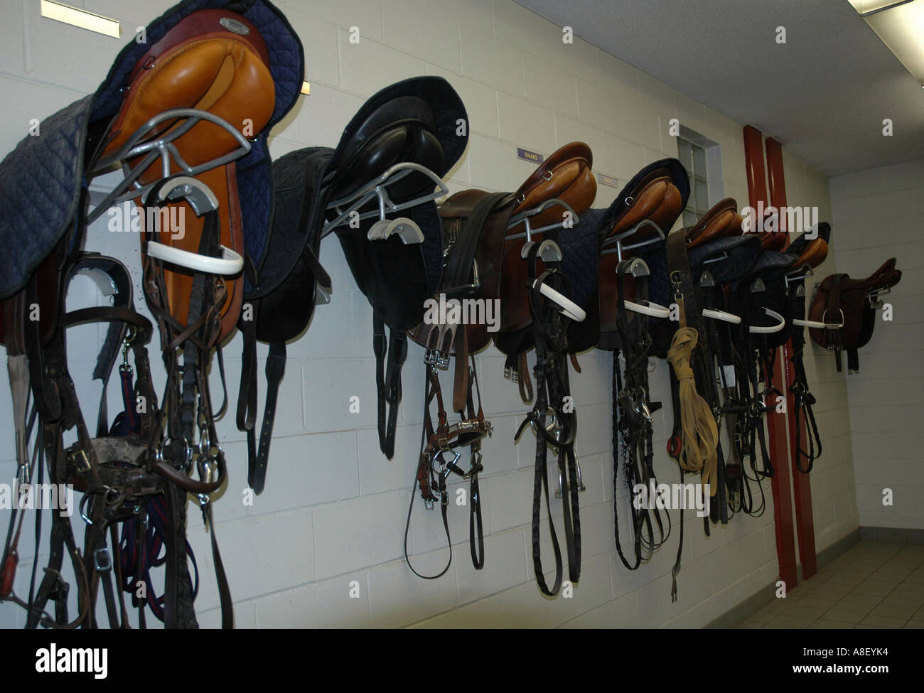 Saddles in saddle room horse hi-res stock photography and images - Alamy