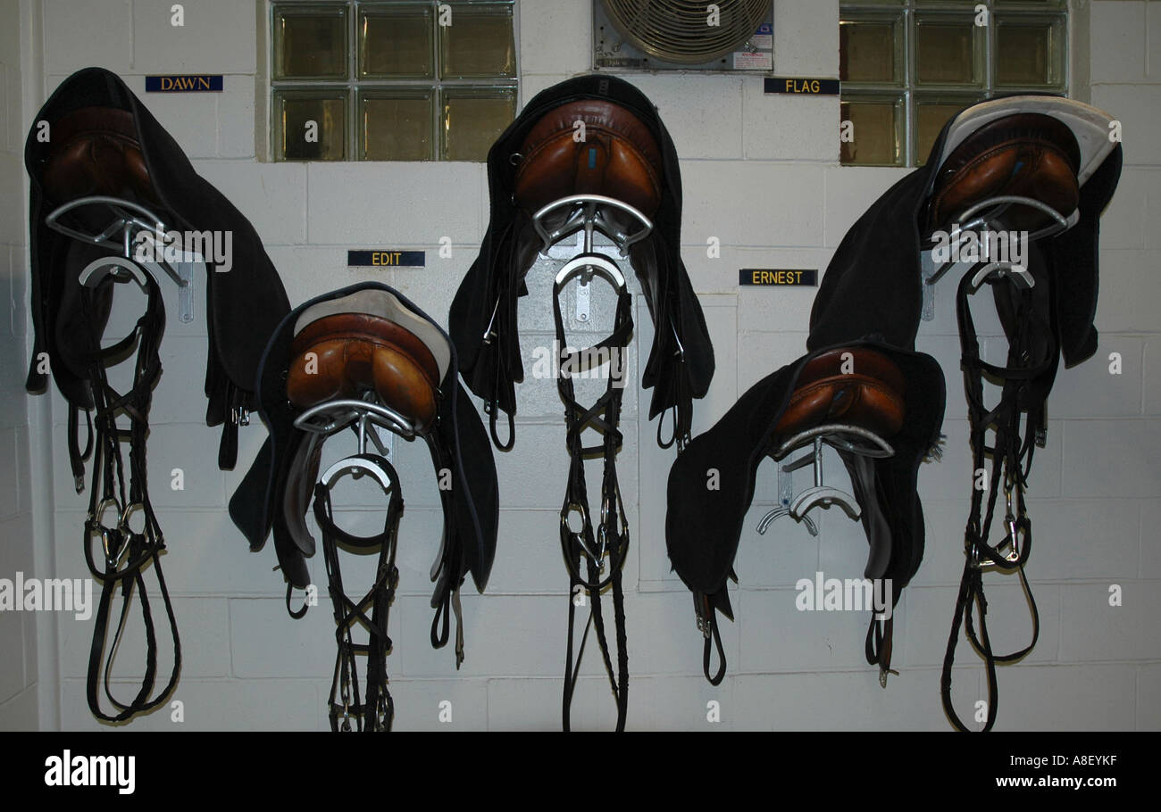 Saddles in saddle room horse hi-res stock photography and images - Alamy